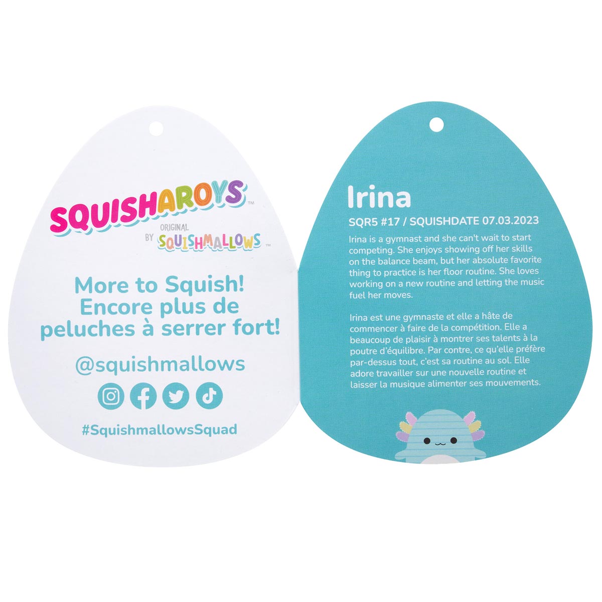 squishmallow tag description